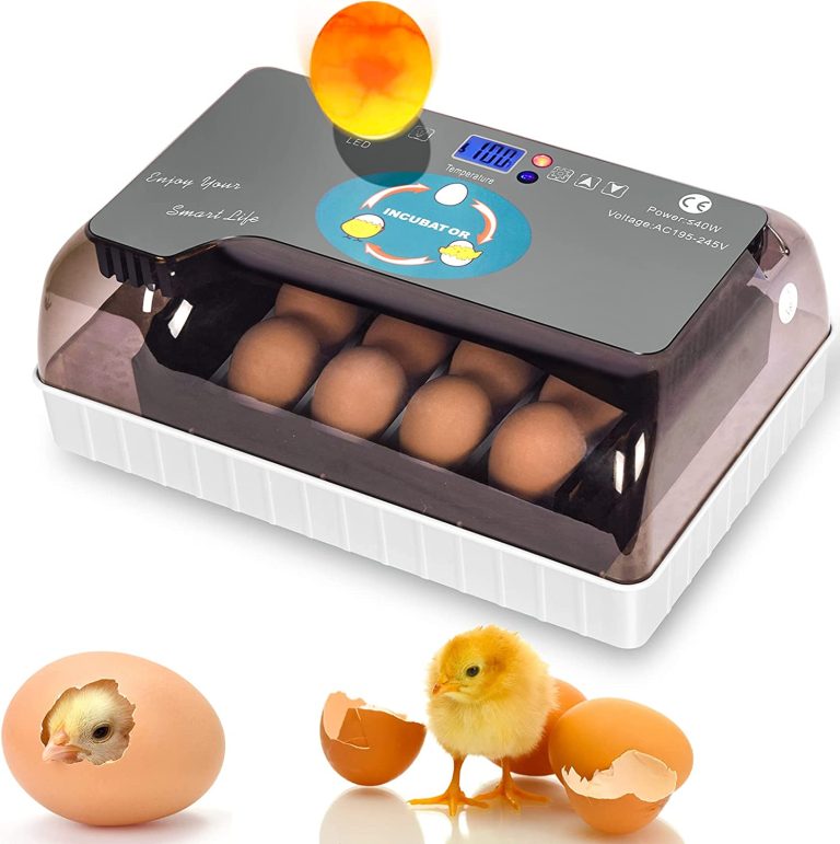 Egg Incubator - Premier Energy Solution