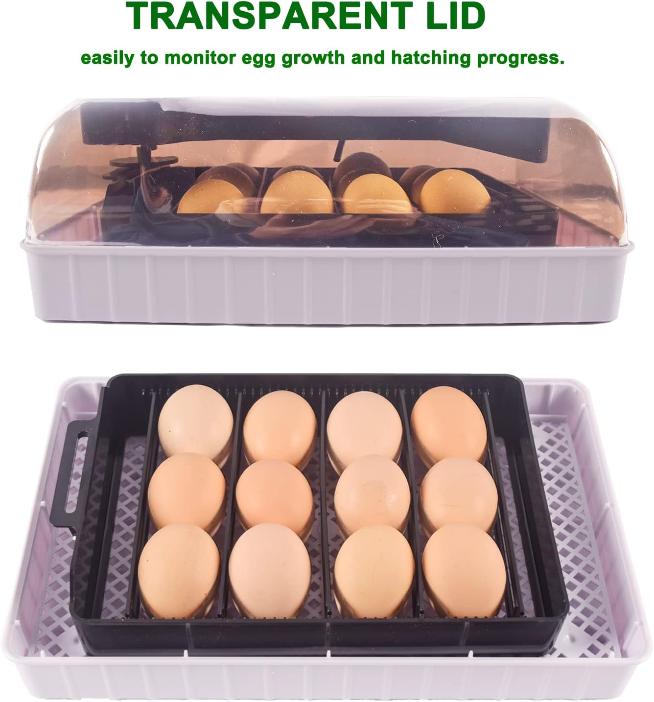 Egg Incubator - Premier Energy Solution